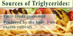 What are triglycerides and how they affect you?