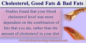 Cholesterol Good And Bad – 5 Fat Types