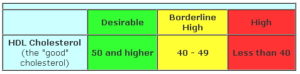 Cholesterol level scale – What's the meaning?