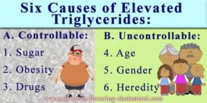 6 Causes of Elevated Triglycerides and 1 Natural Solution
