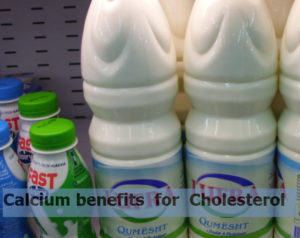 Calcium And Cholesterol